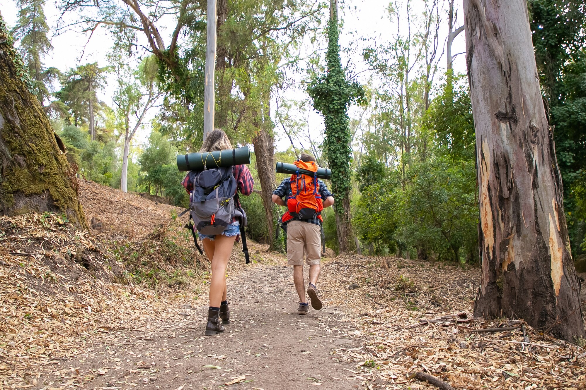 Best Trails to Discover in Bunya Mountains - e-phrase